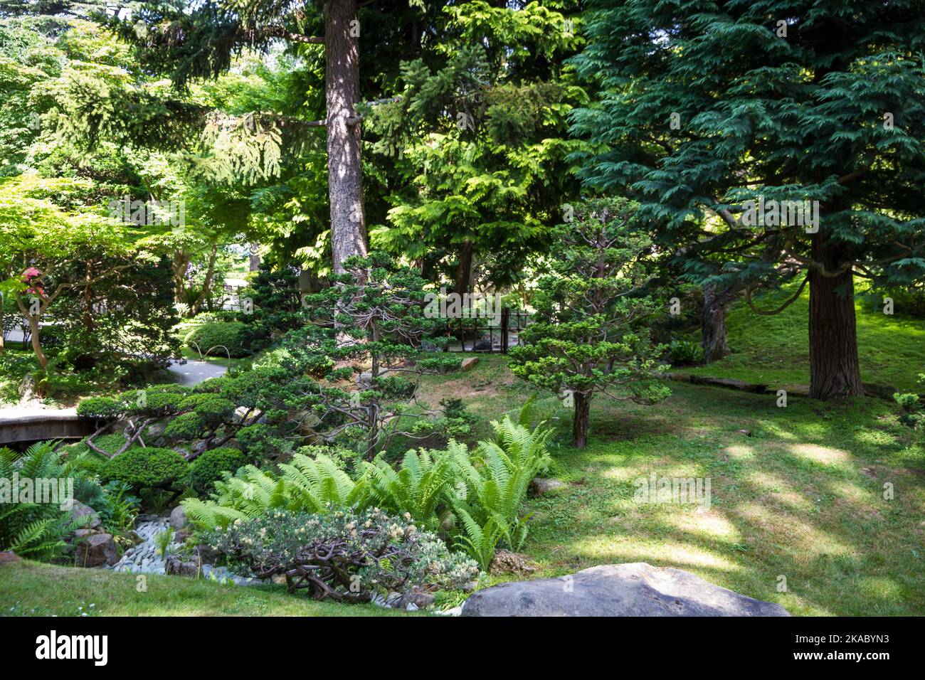 Beautiful traditional japanese garden in summer. Zen background Stock ...