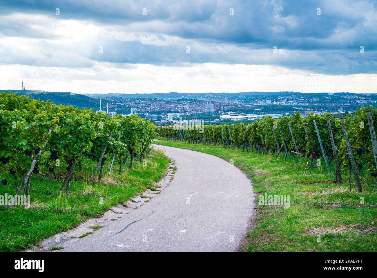 Germany, Stuttgart city arena industry houses skyline behind green ...