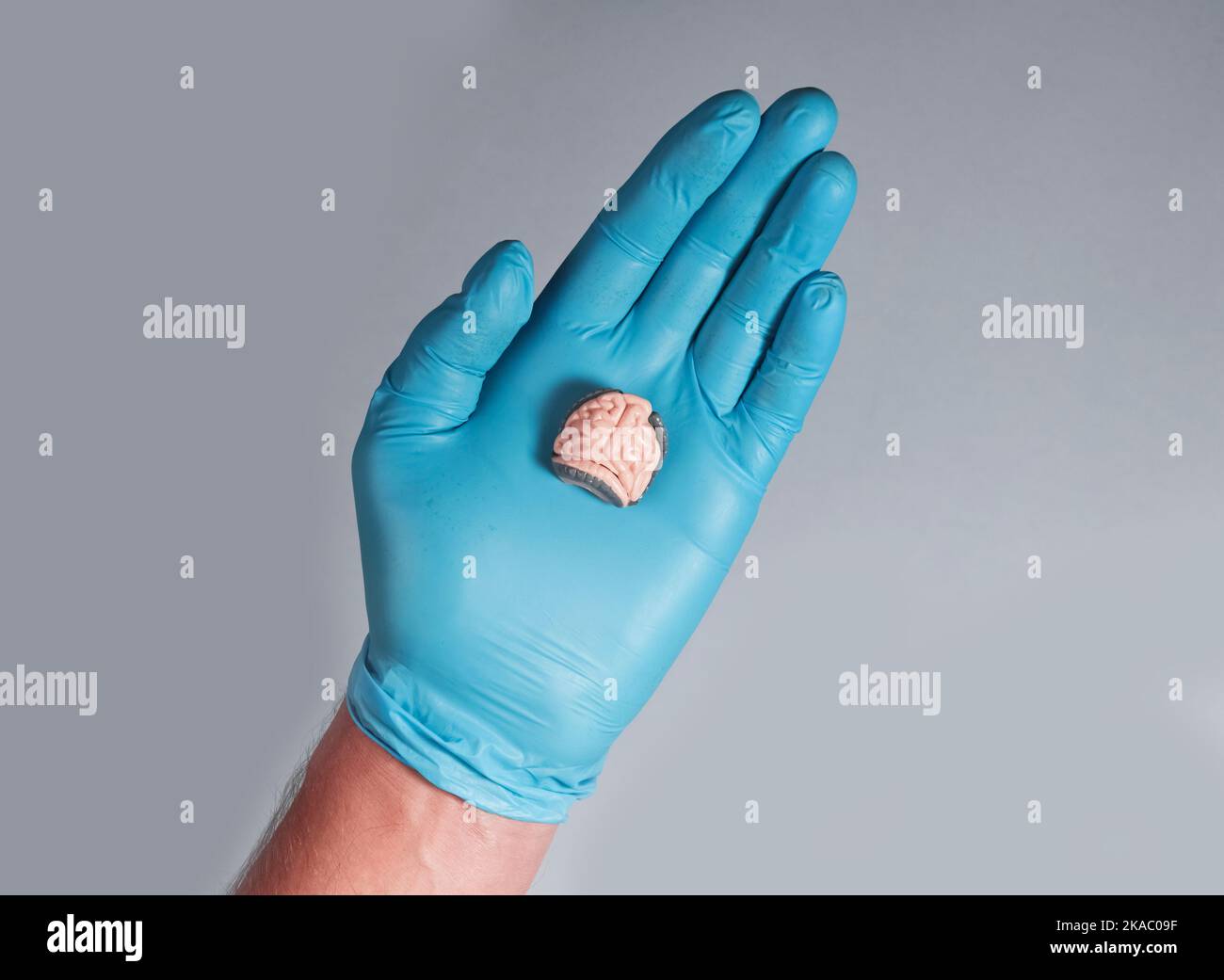 Intestine health concept. Gastrointestinal and gastroenterology ...