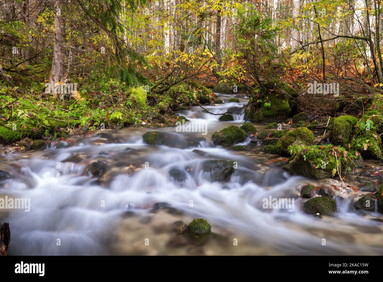 Salza waterfall hi-res stock photography and images - Alamy