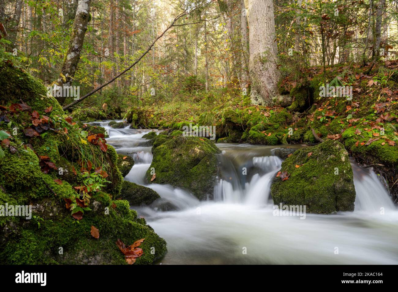 Salza waterfall hi-res stock photography and images - Alamy