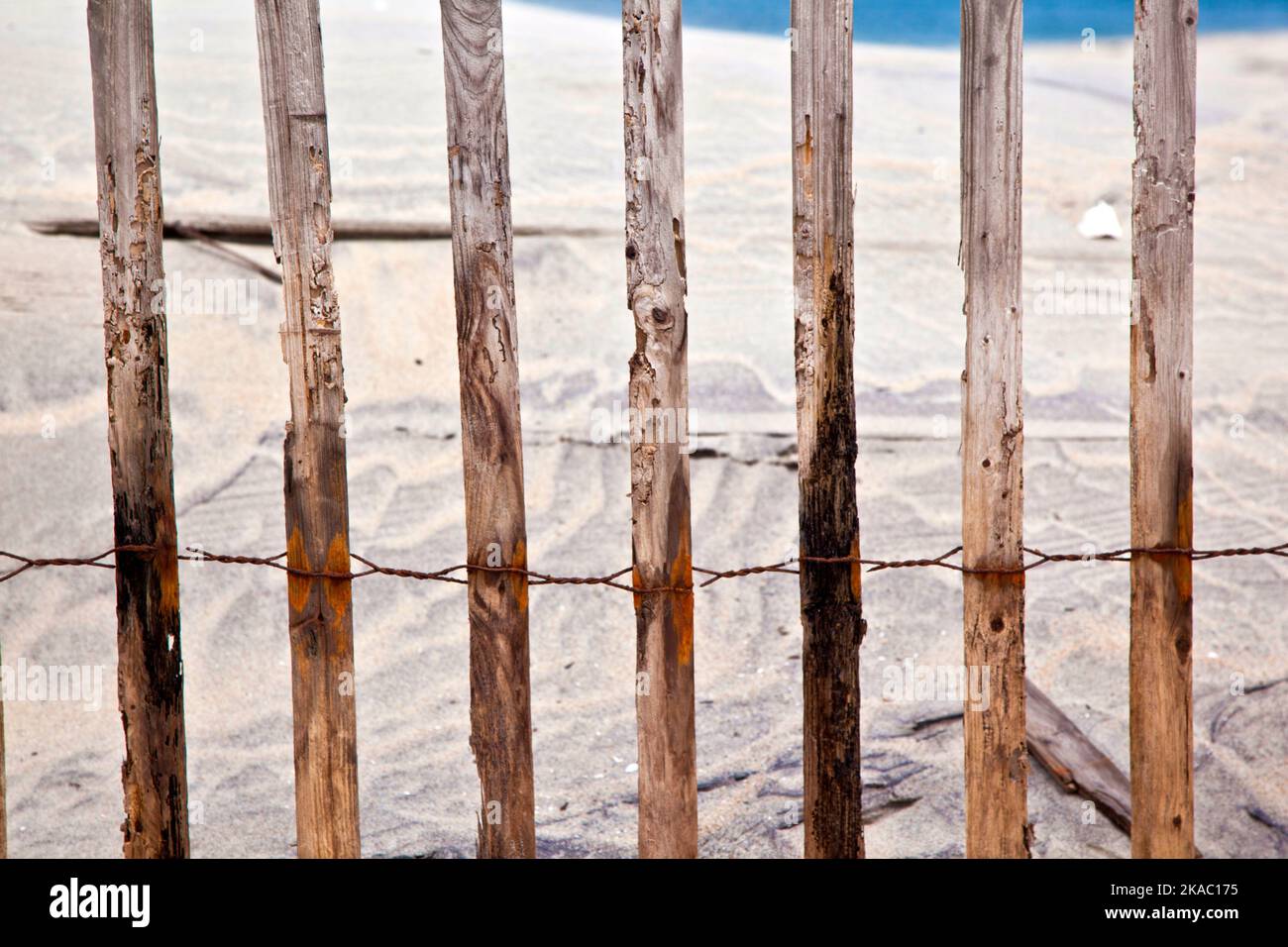 fence for protection of the dunes at the beautiful natural beach ...