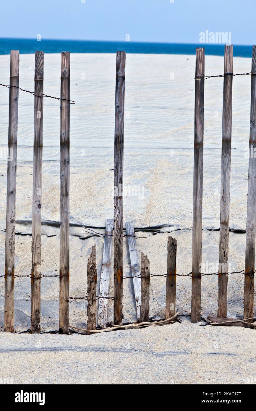 fence for protection of the dunes at the beautiful natural beach ...