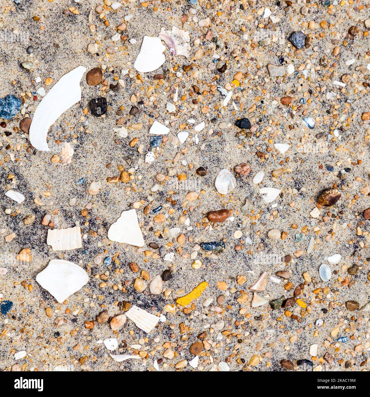 shells and stones at the beautiful beach Stock Photo - Alamy