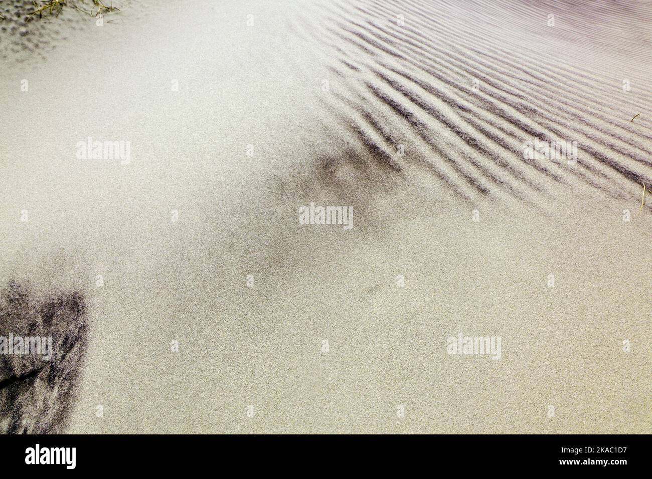 wind forms beautiful structures in the dunes at the beach Stock Photo ...