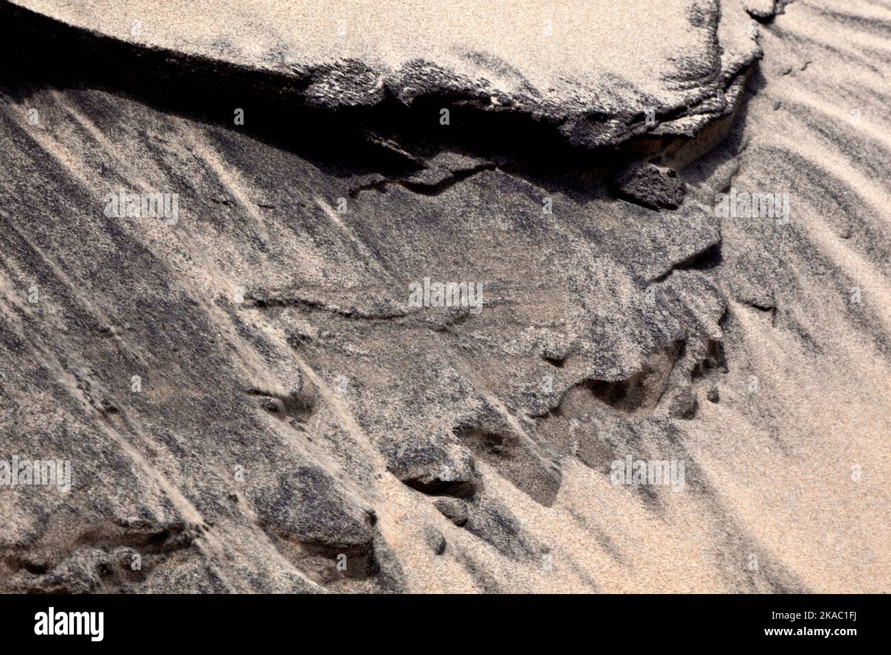 wind forms beautiful structures in the dunes at the beach Stock Photo ...