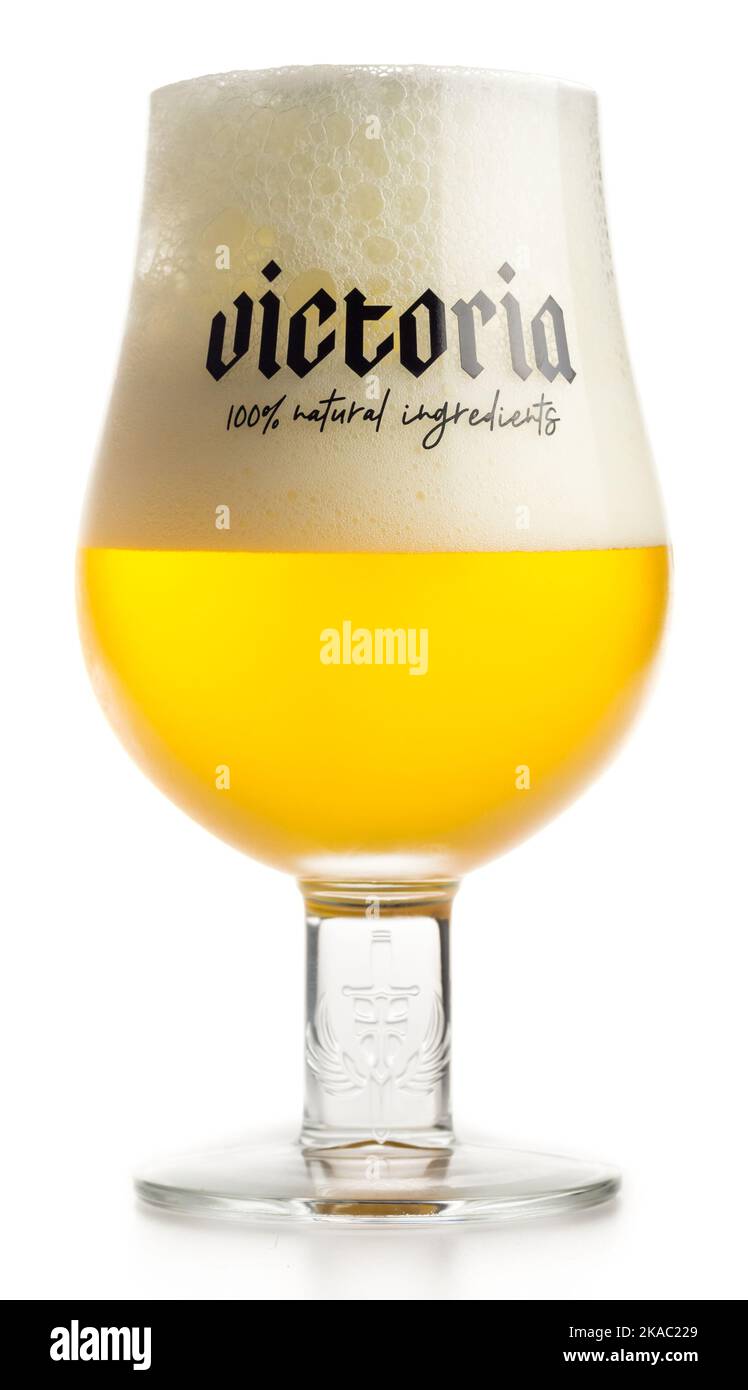 Glass of Victoria Strong Blond beer isolated on a white background ...