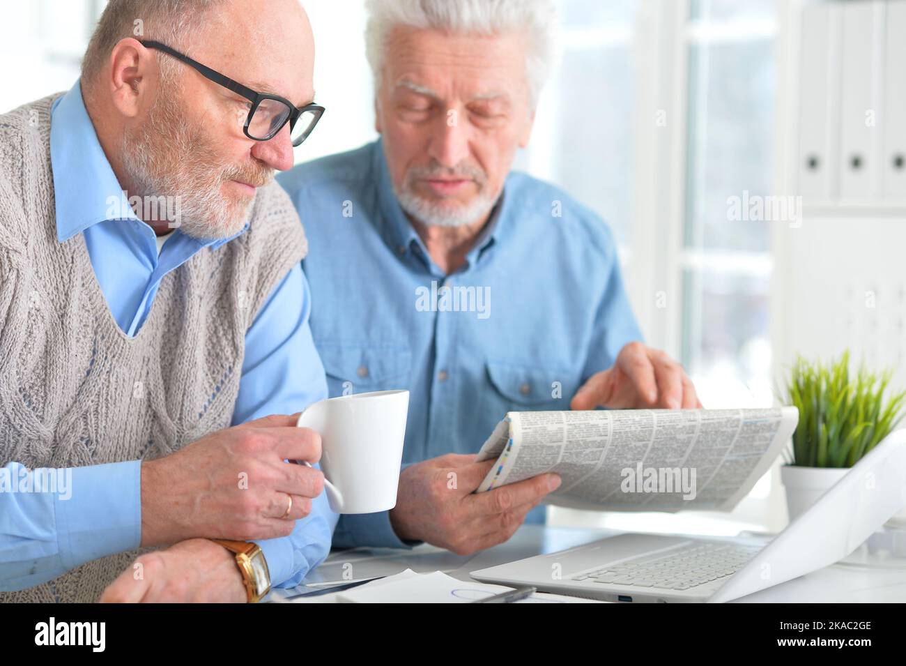 Portrait of elderly people working together in with laptop Stock Photo ...