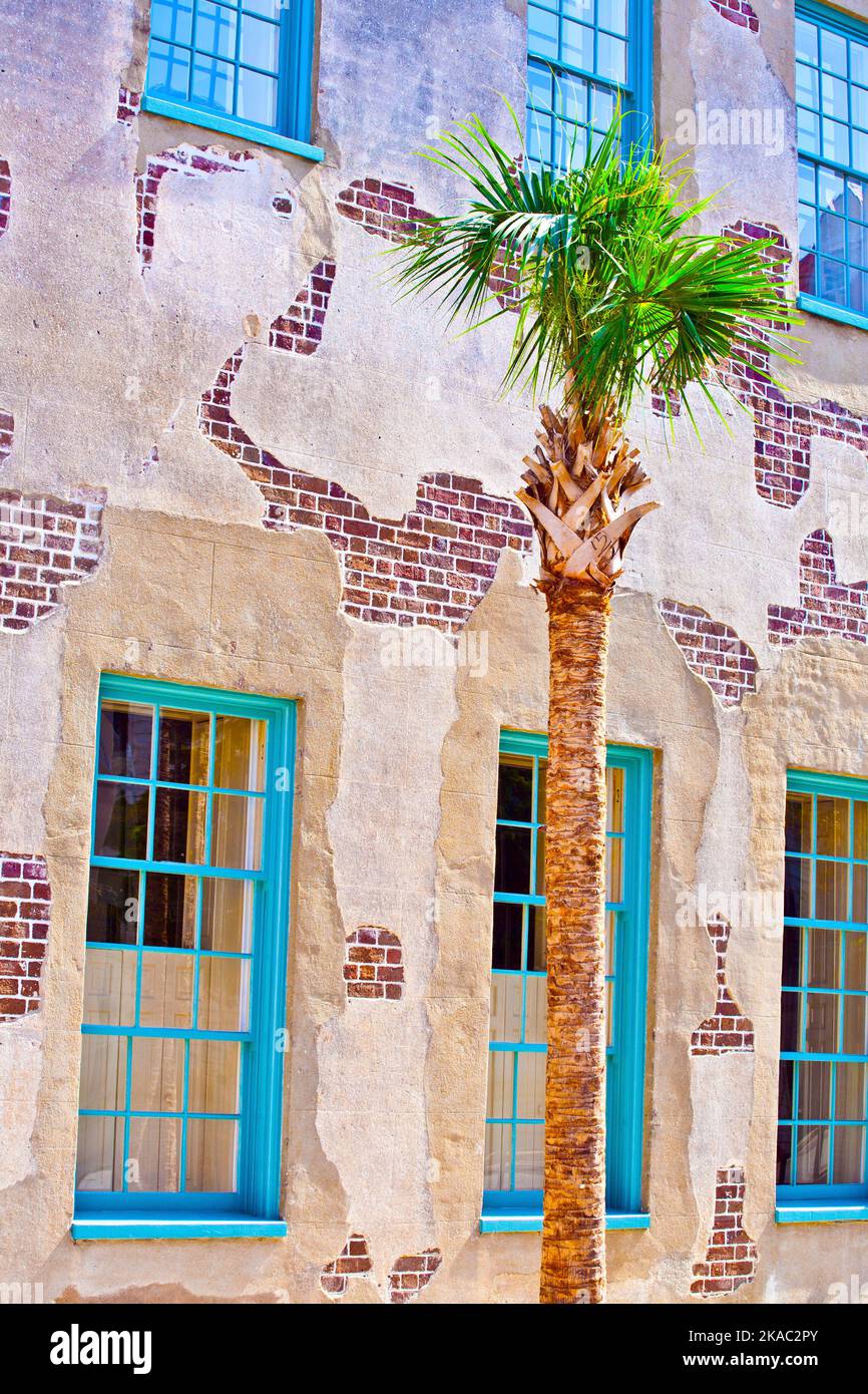 facade of old historic brick house with palm tree Stock Photo - Alamy