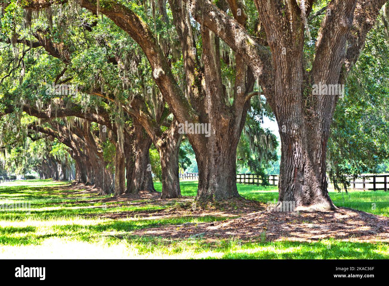 Farmer in north carolina historical hi-res stock photography and images ...