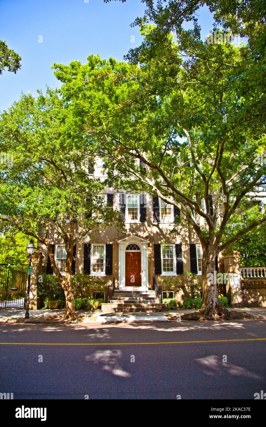 Southern Mansion with scenic tree in front Stock Photo - Alamy