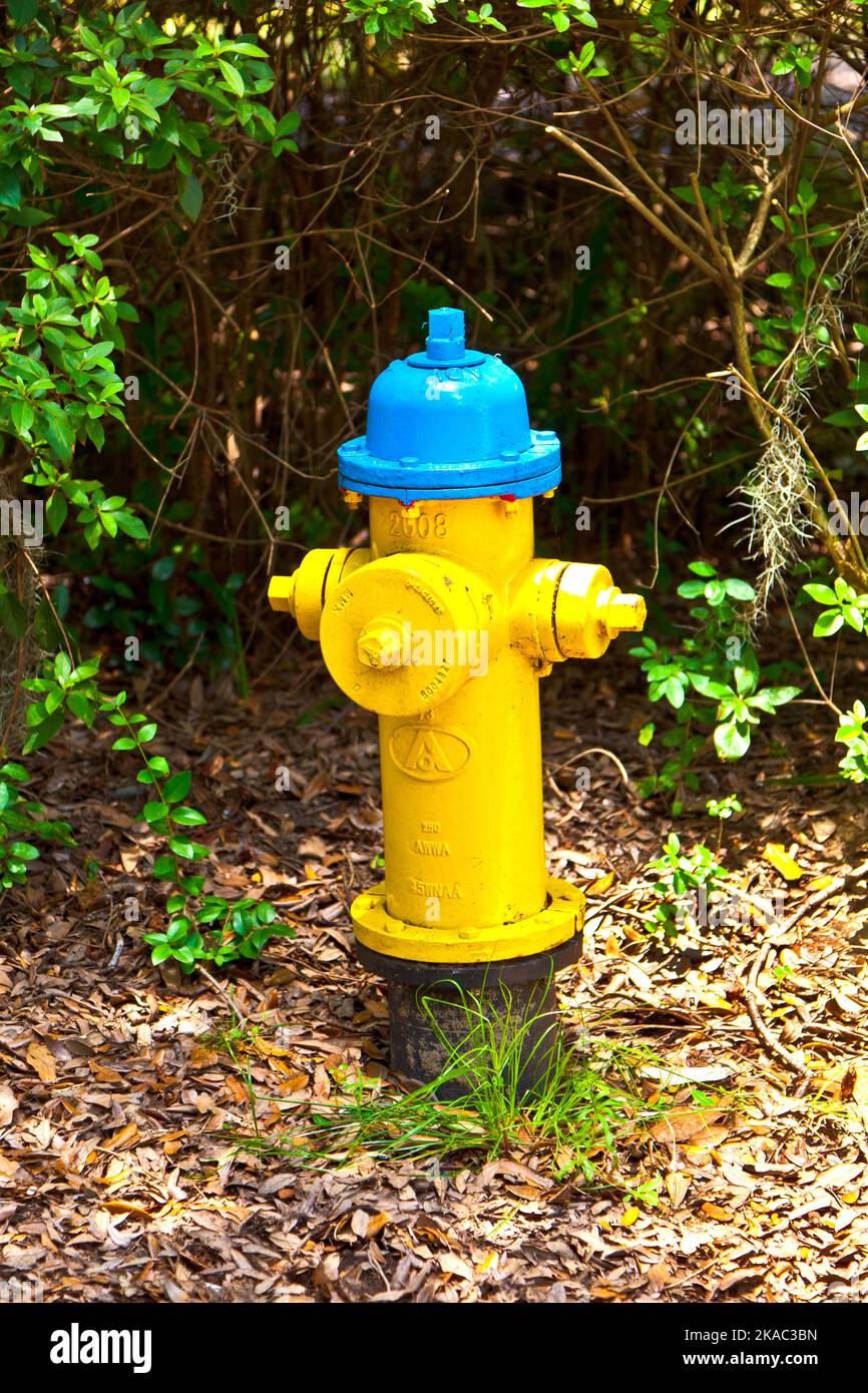 hydrant in the park Stock Photo - Alamy