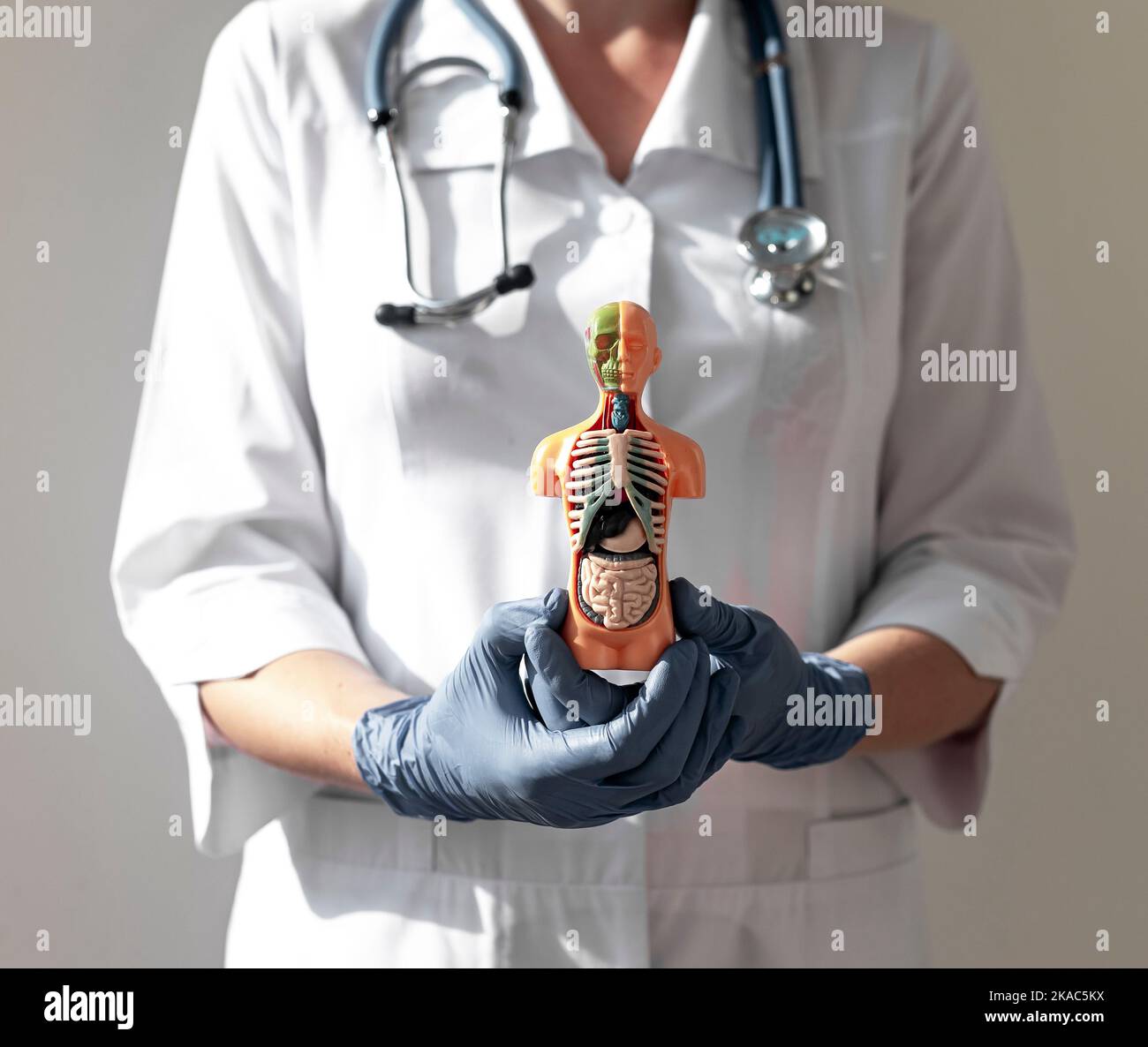 3d human model with inner organs inside. Concept of medical healthcare ...