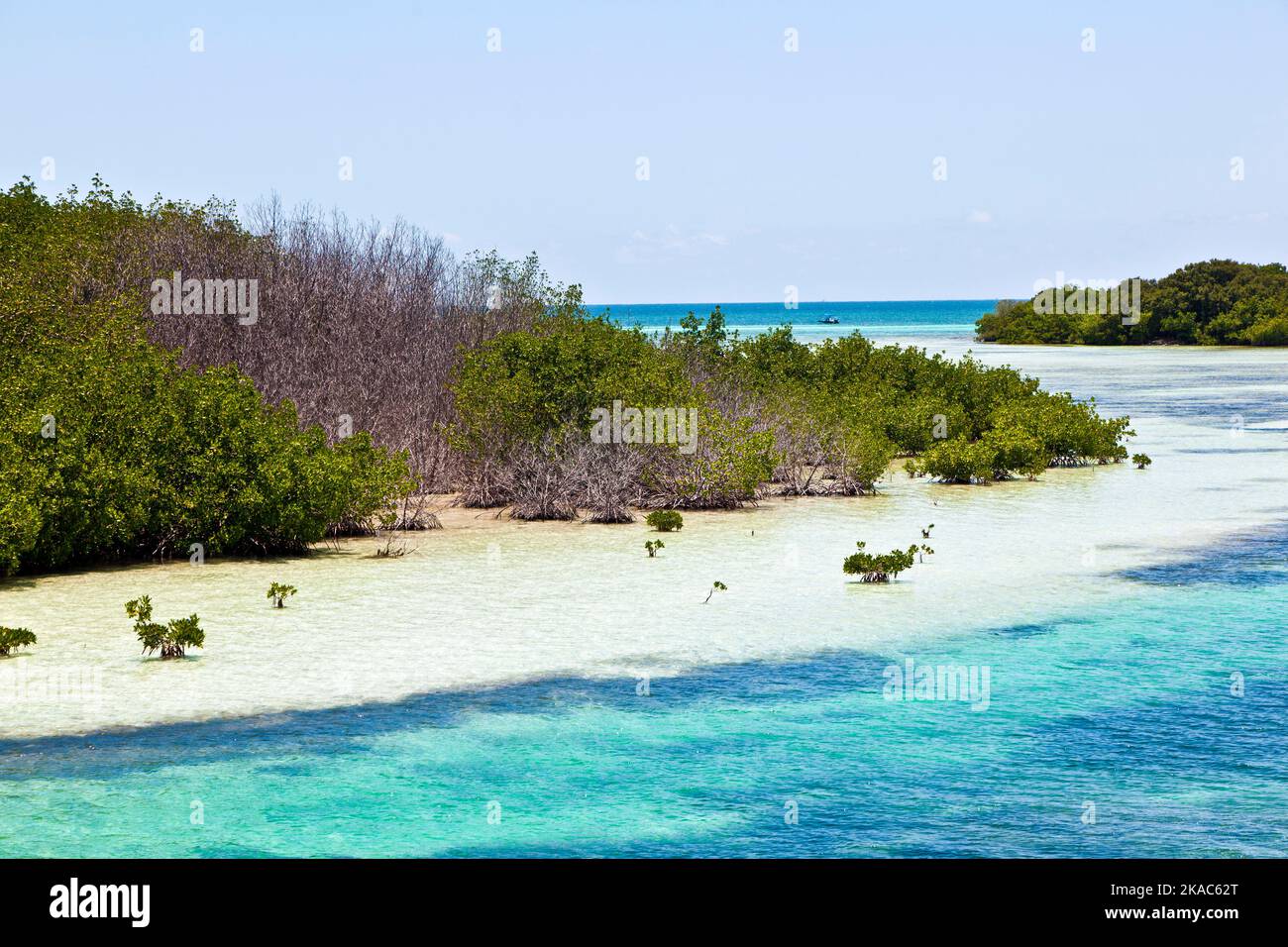 beautiful scenic beaches and clear water in the Keys with palmes and ...