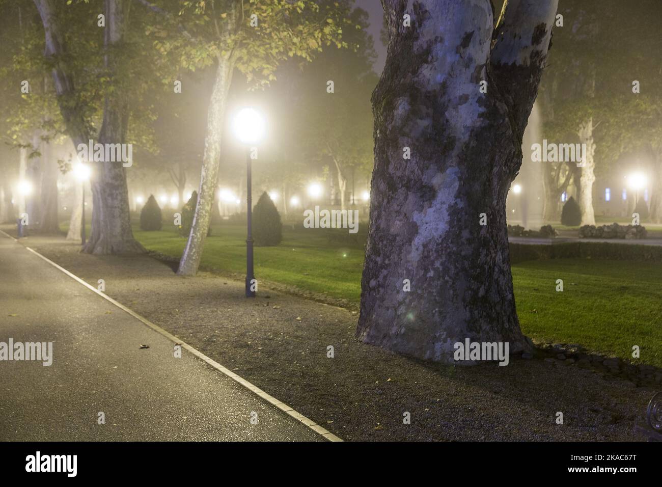 Night in the November Stock Photo - Alamy