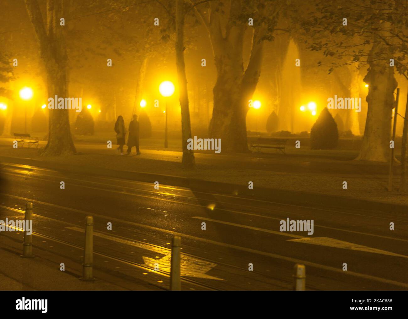 Foggy night in the November Stock Photo - Alamy
