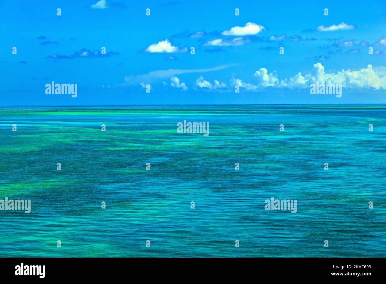 beautiful ocean in the Florida keys Stock Photo - Alamy