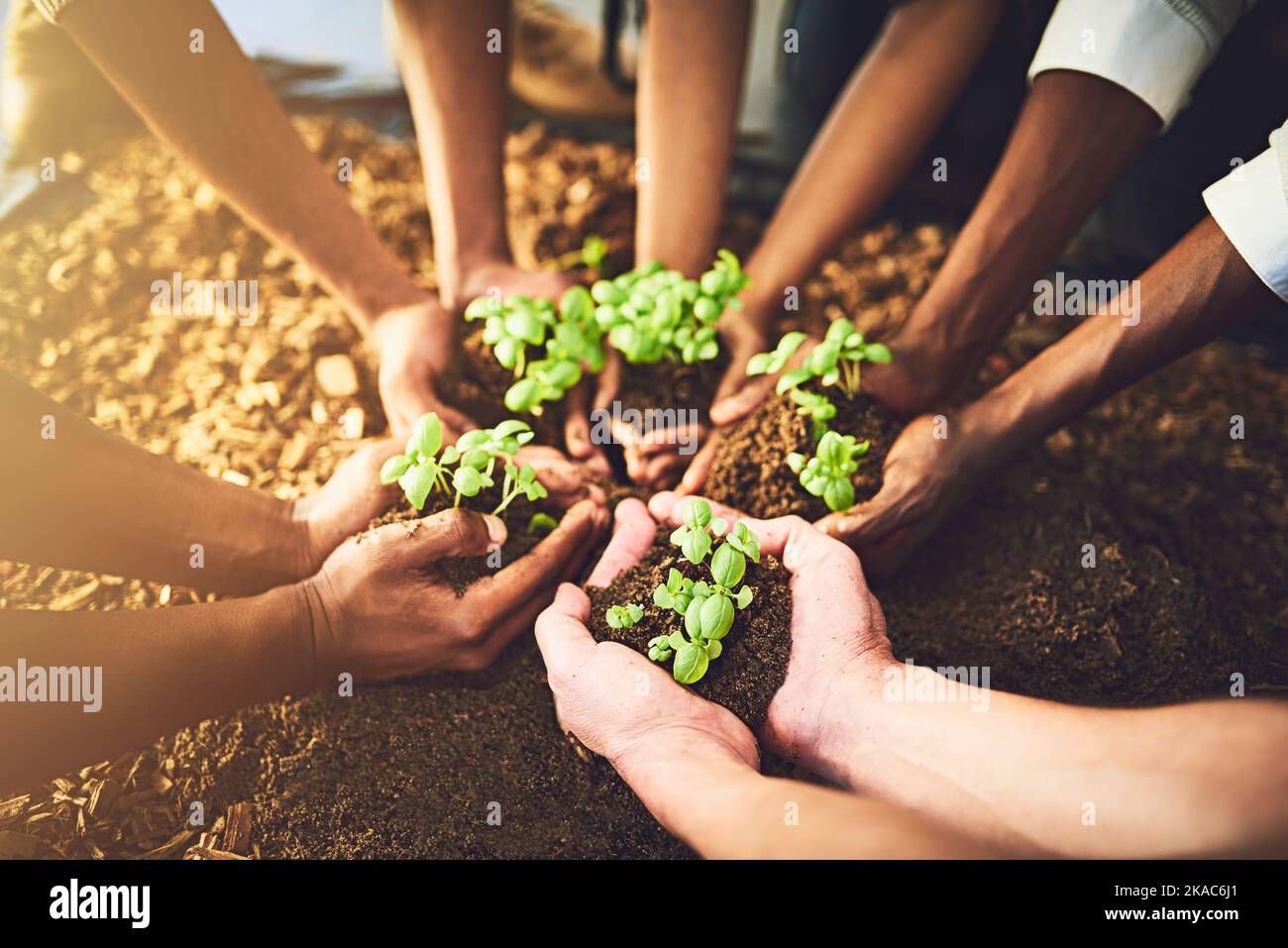 Everyone has the potential to grow. Closeup shot of a group of ...