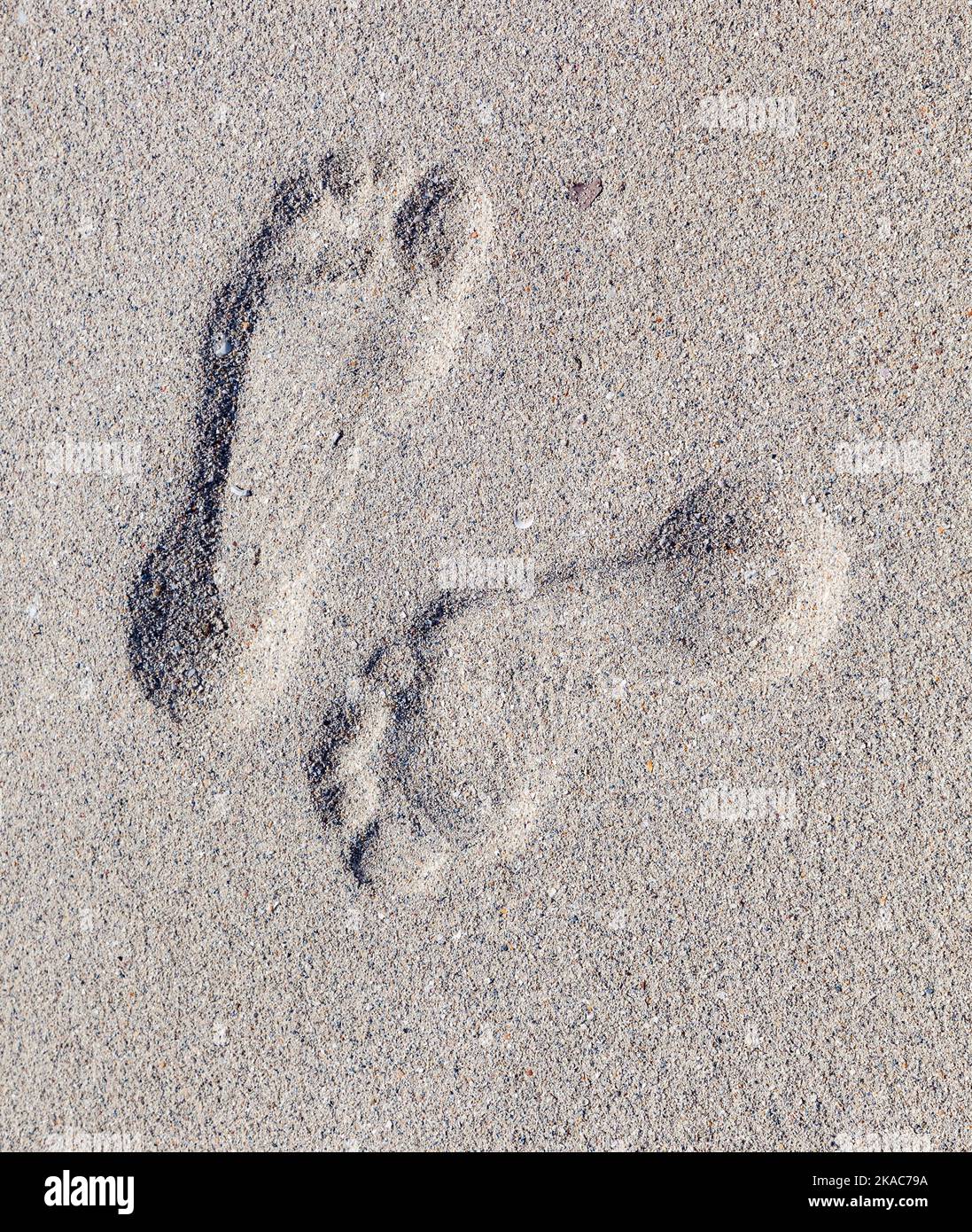 footprints of man at the beach in vice versa direction Stock Photo - Alamy