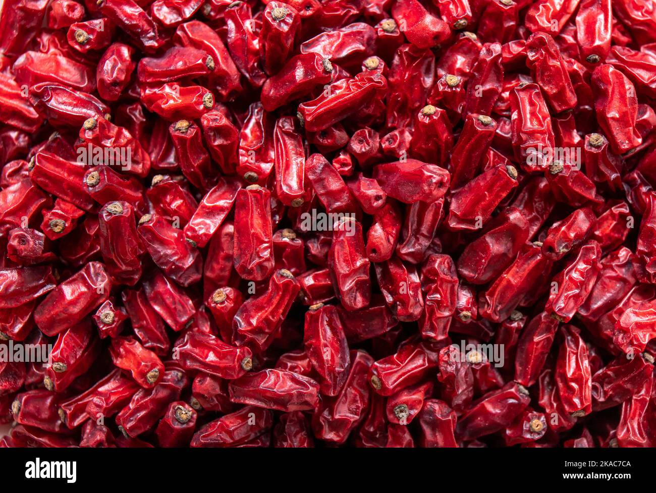 Close up view of dried Berberis vulgaris also known as common barberry ...