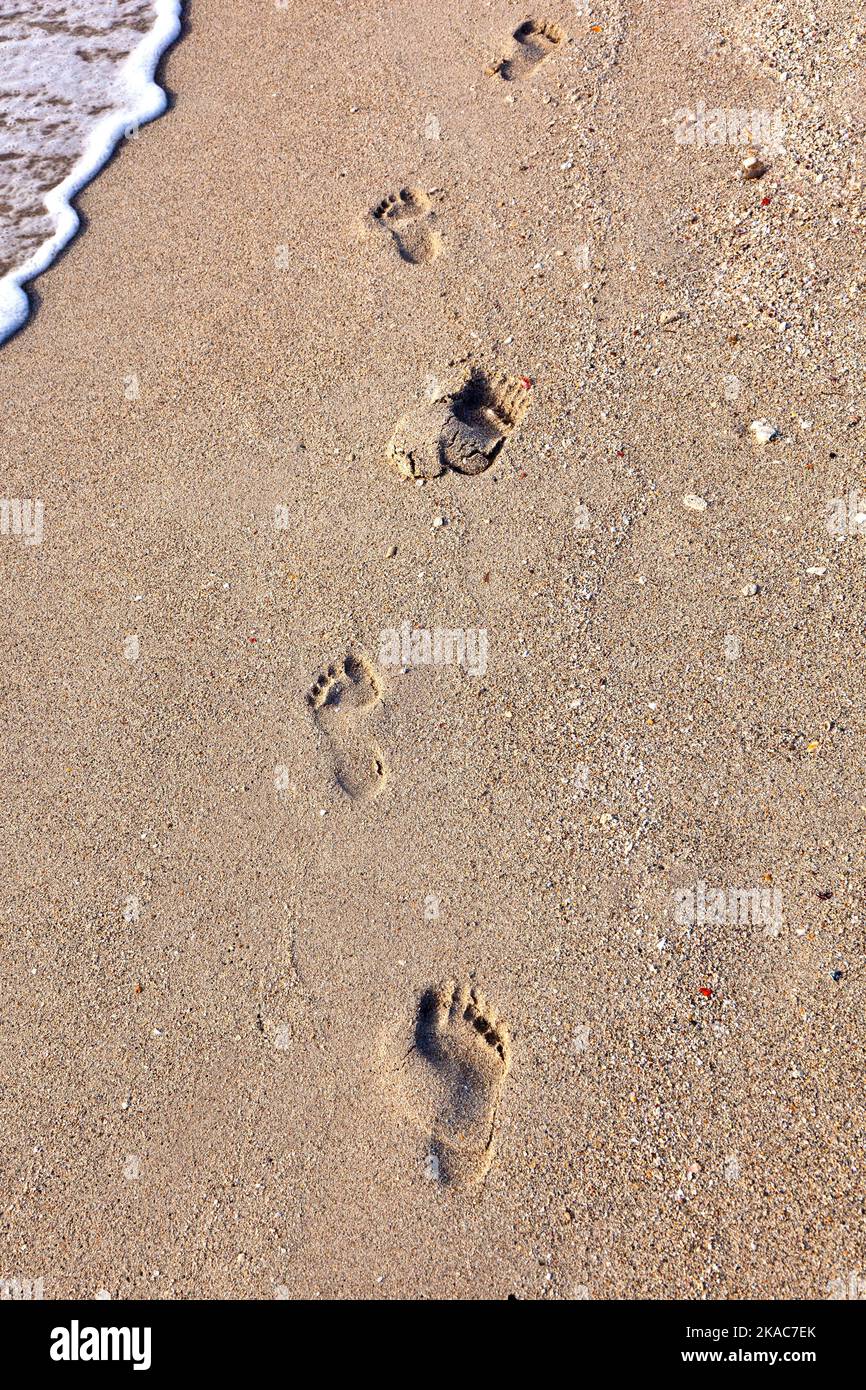 footprints in the sandy beach Stock Photo - Alamy