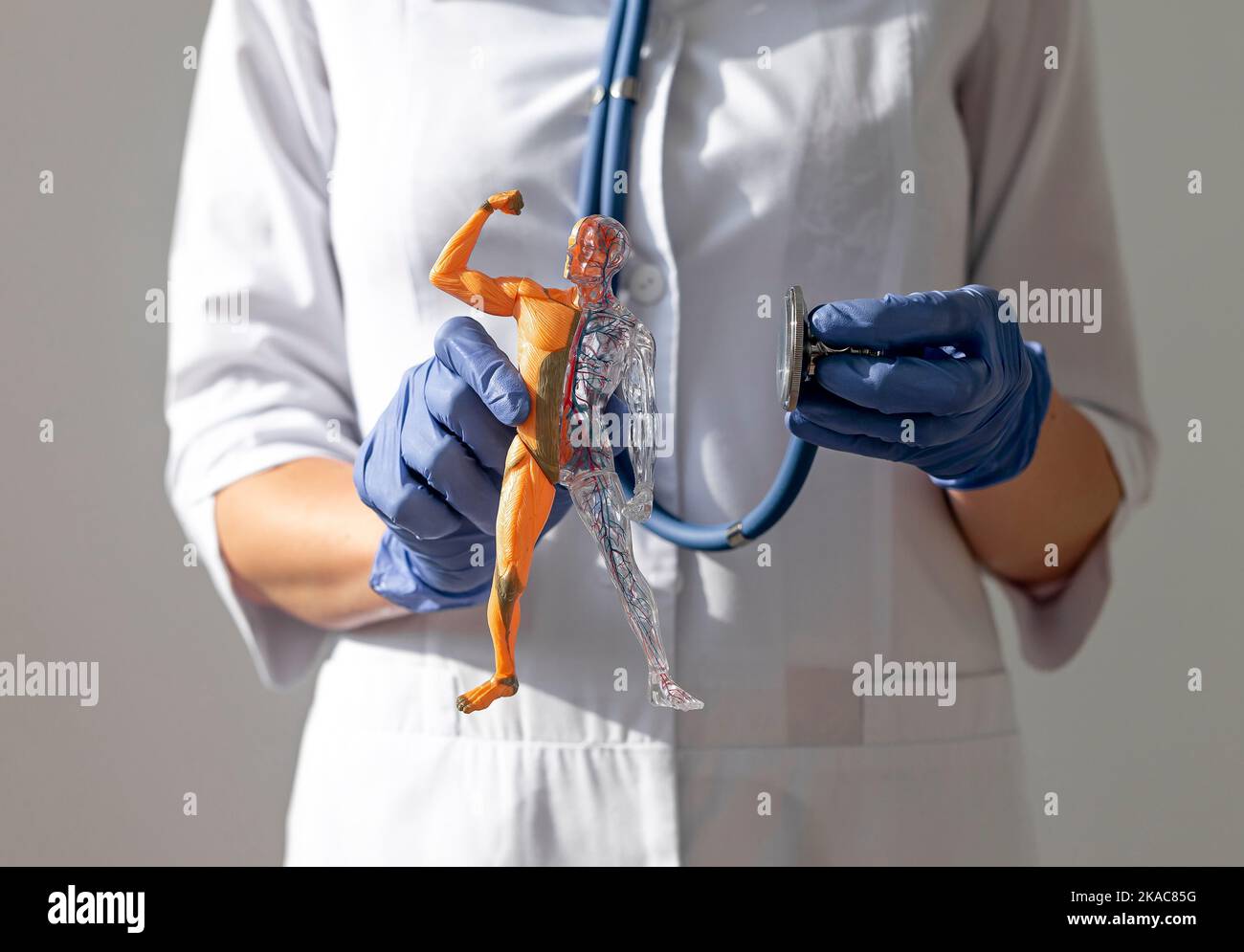 Skinless person hi-res stock photography and images - Alamy