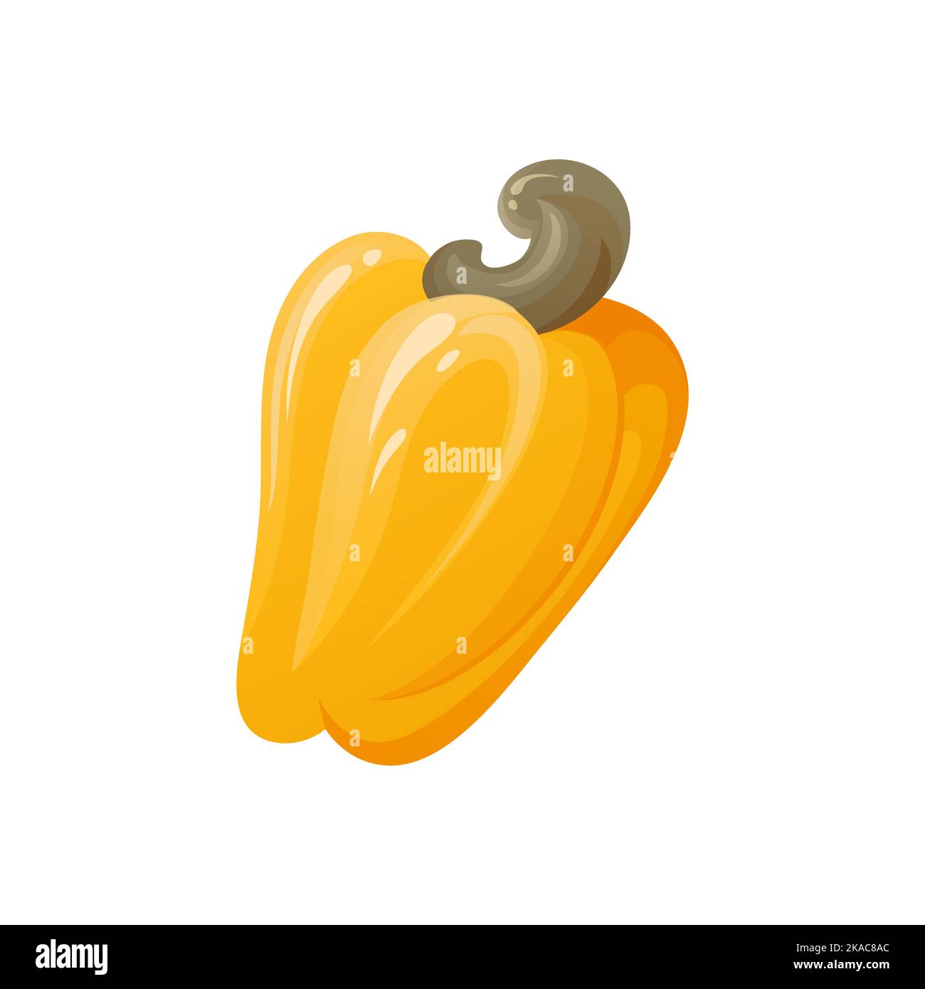 Yellow cashew nut. Unripe and ripe exotic fruit with green leaves ...