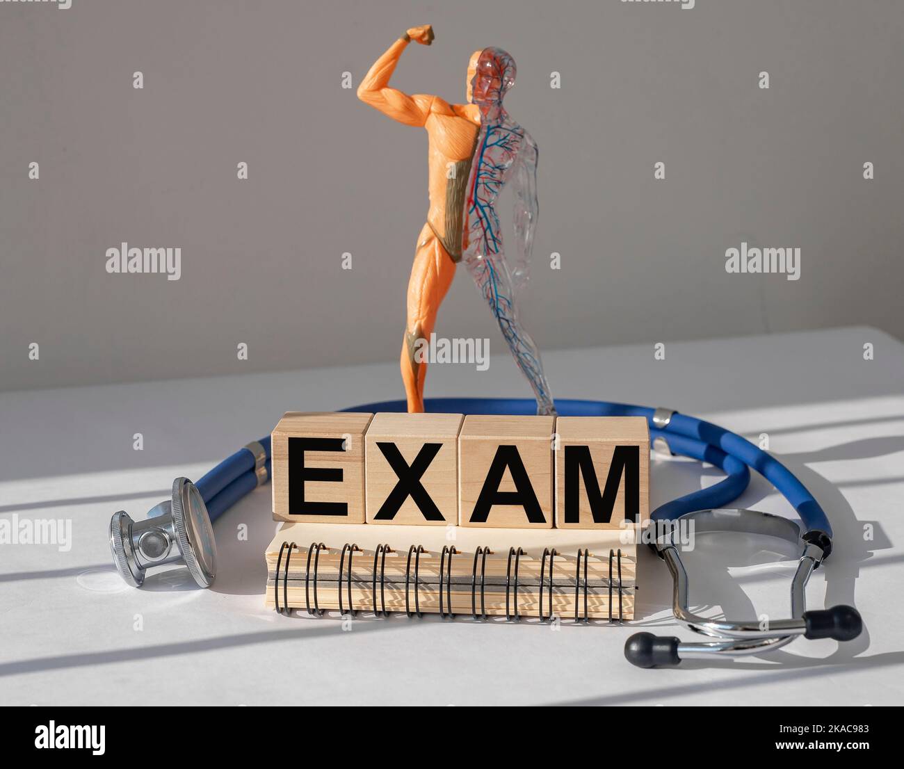 Medical exam concept. Inner organs examination and check up Stock Photo ...