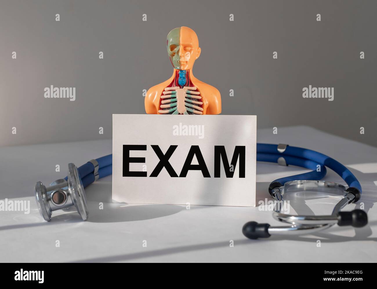 Medical exam concept. Inner organs examination and checkup Stock Photo ...