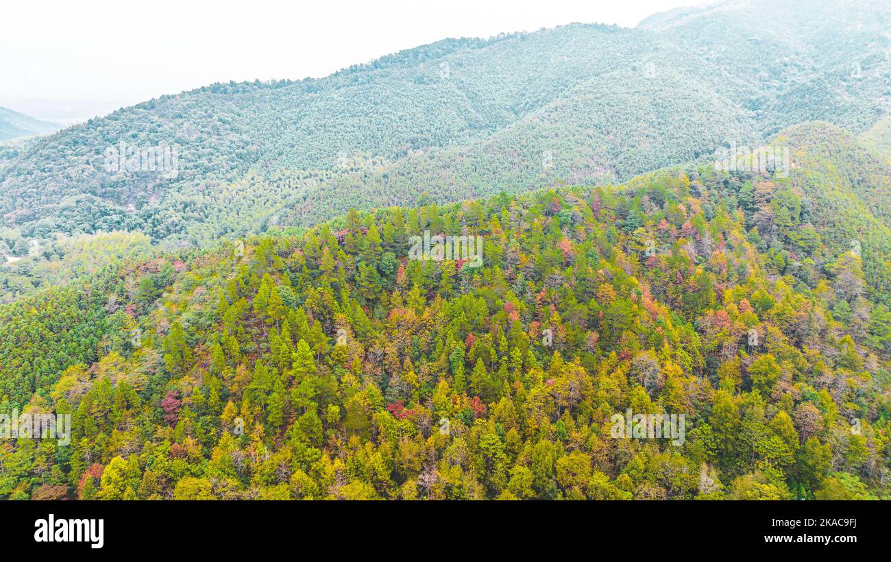 Aerial photos show beautiful autumn village views, Ji'an City, east ...