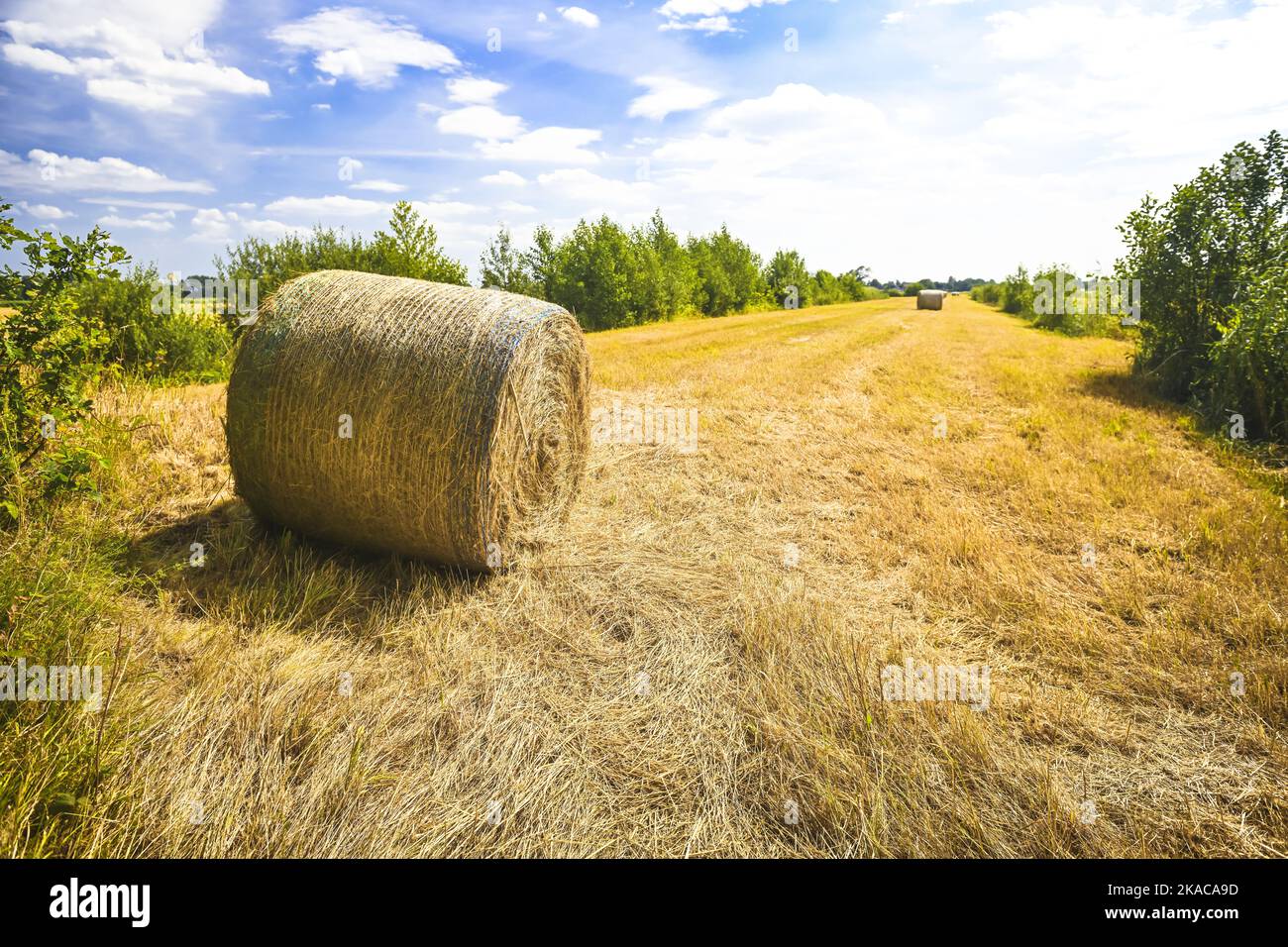 Heuernte heuernte hi-res stock photography and images - Alamy