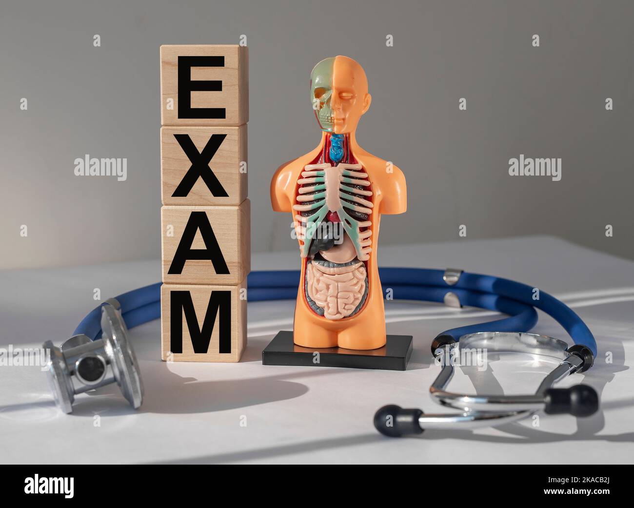 Medical exam concept. Inner organs examination and check up Stock Photo ...
