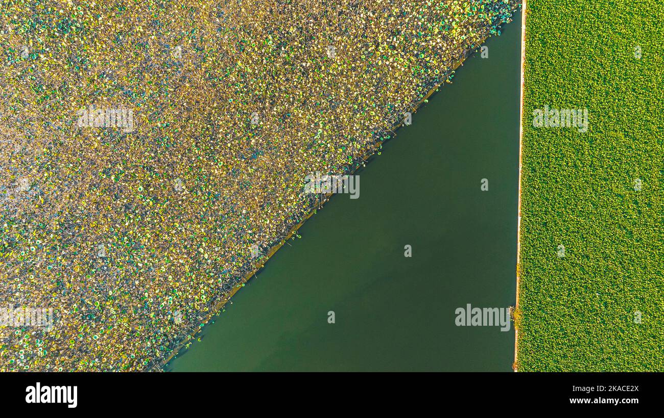 Aerial photos show beautiful autumn village views, Ji'an City, east ...