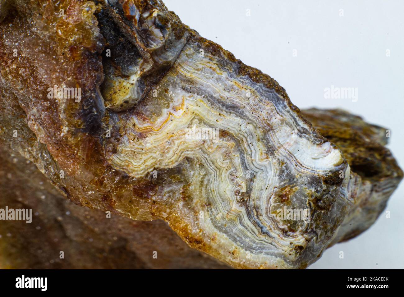 Agate closeup hi-res stock photography and images - Alamy