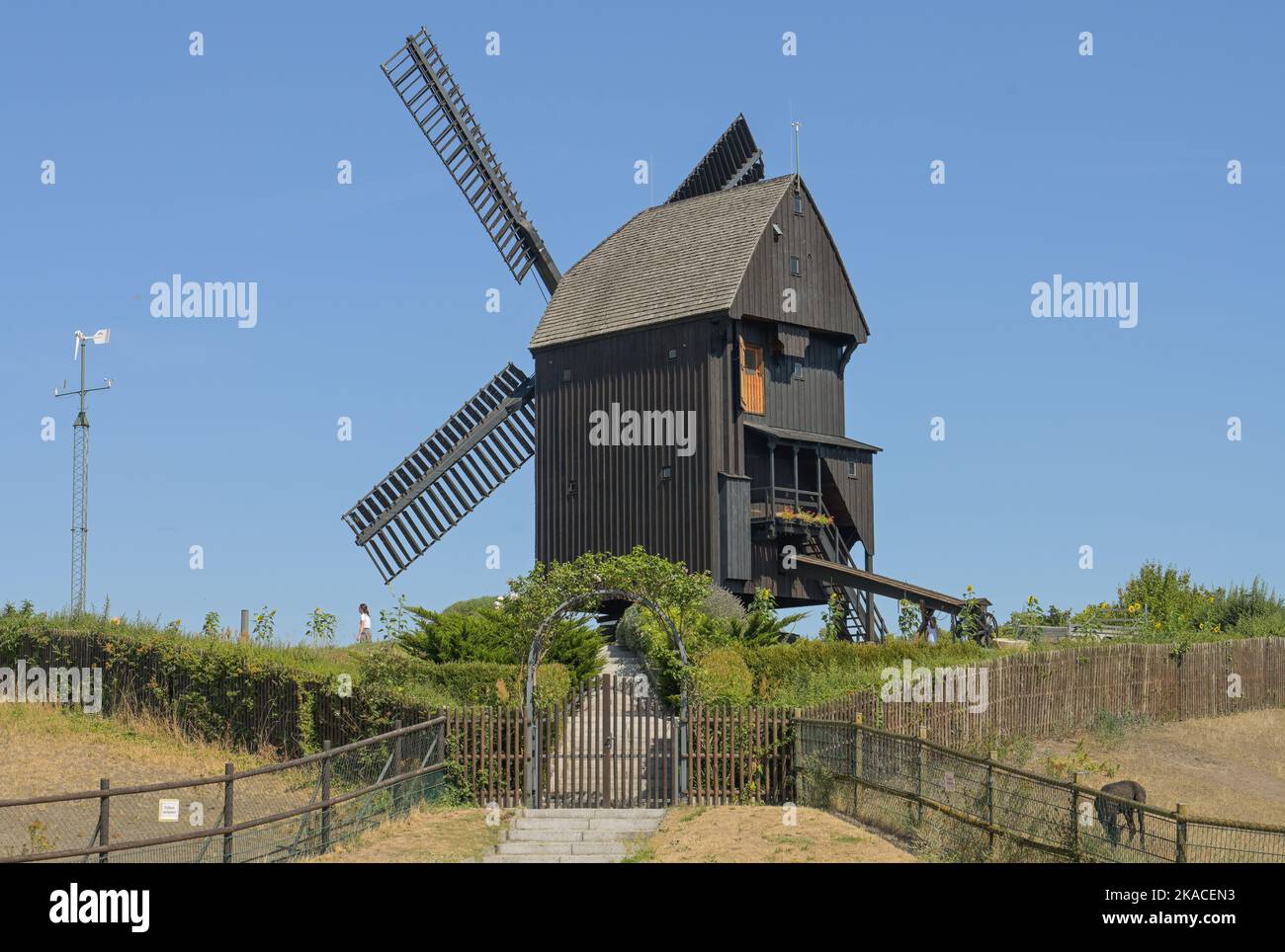 Windmühle, Alt-Marzahn, Marzahn, Berlin, Deutschland Stock Photo - Alamy
