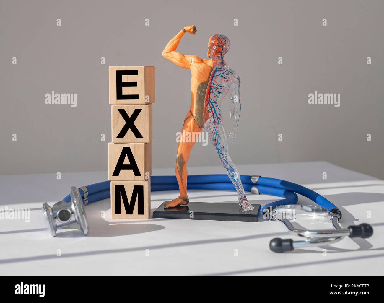 Vein diagnostics hi-res stock photography and images - Alamy