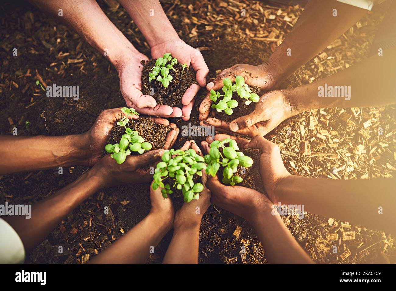 Mother Nature needs us all to play our part. Closeup shot of a group of unrecognizable people ...
