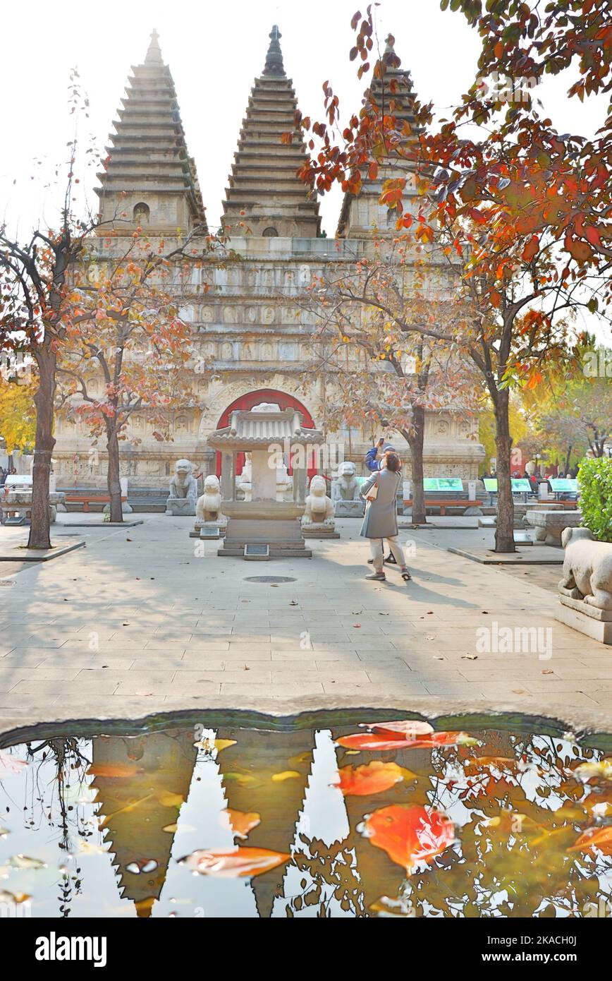 Tourists enjoy the 600-year-old ginkgo tree in the Five Pagoda Temple ...