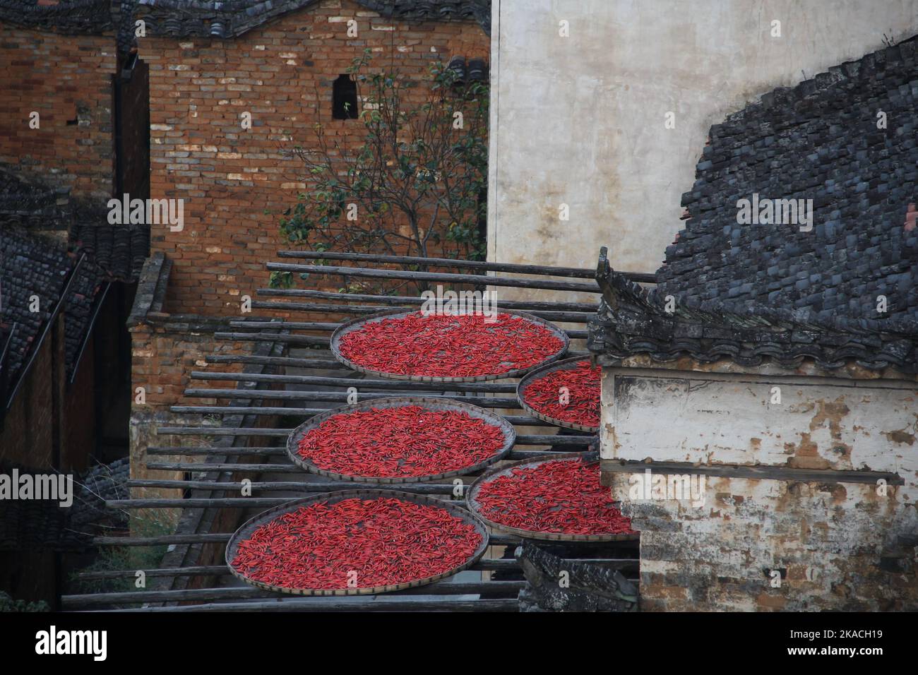 People drying crops in front of their houses in ancient Wuyuan villages ...