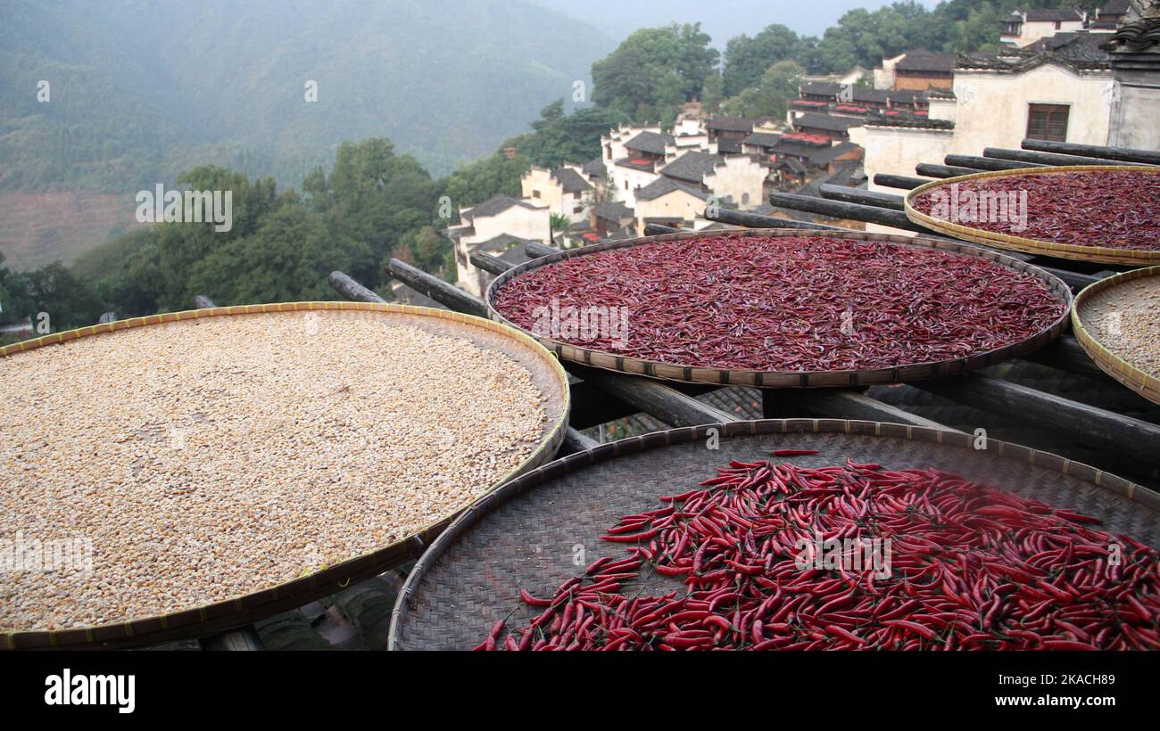 People drying crops in front of their houses in ancient Wuyuan villages ...