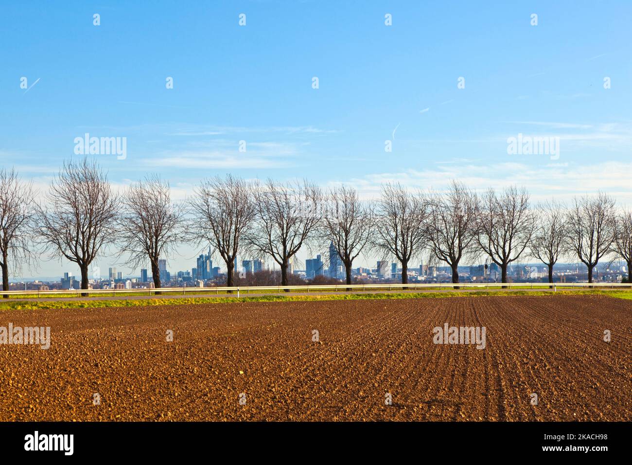 alley with fields and skyline of Frankfurt in the background Stock ...