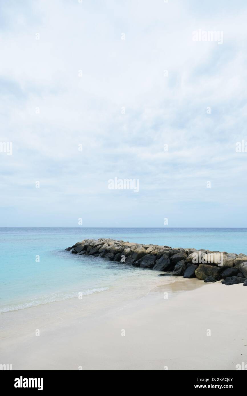 Rasdhoo is famous for its habitats of black and white tip reef sharks ...