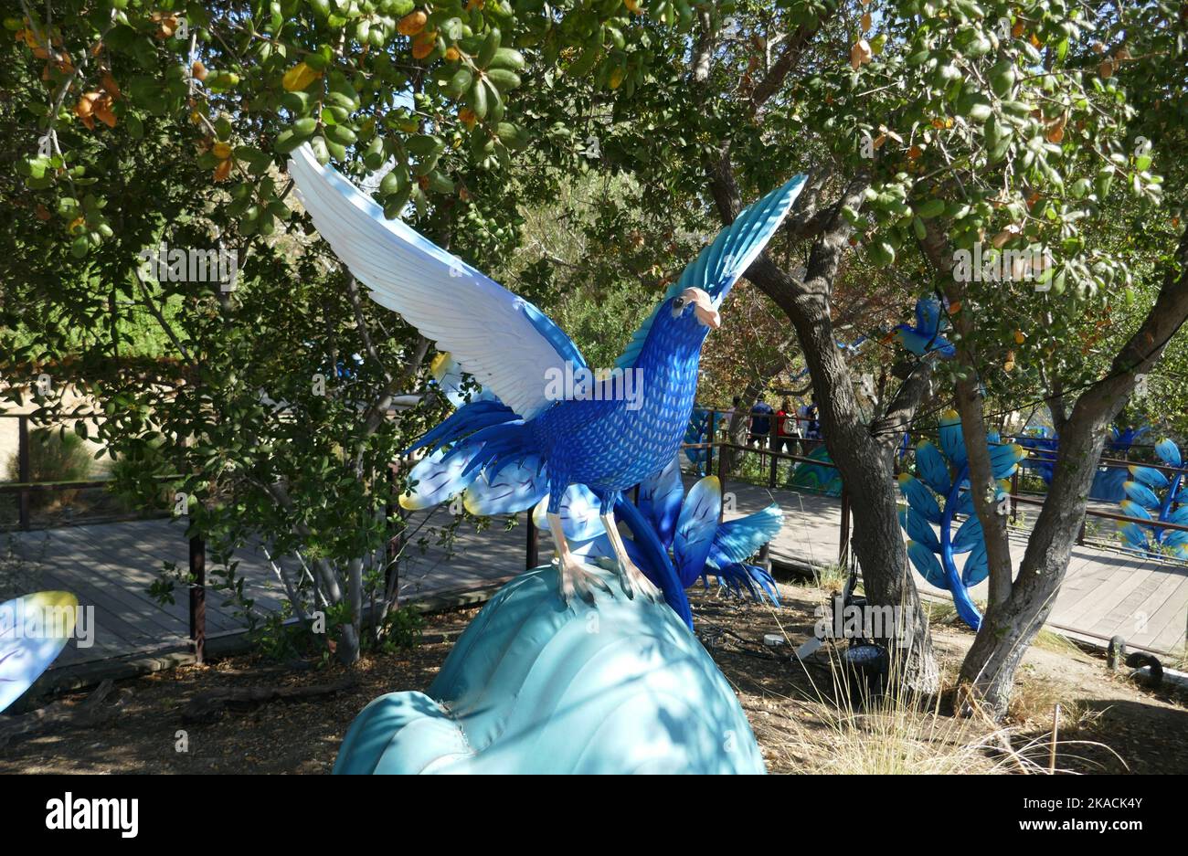 Los Angeles, California, USA 27th October 2022 Birds at Boo at the Zoo ...