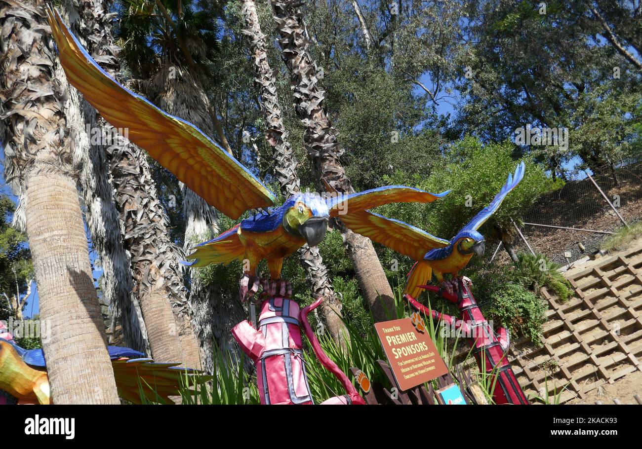 Los Angeles, California, USA 27th October 2022 Macaws at Boo at the Zoo ...