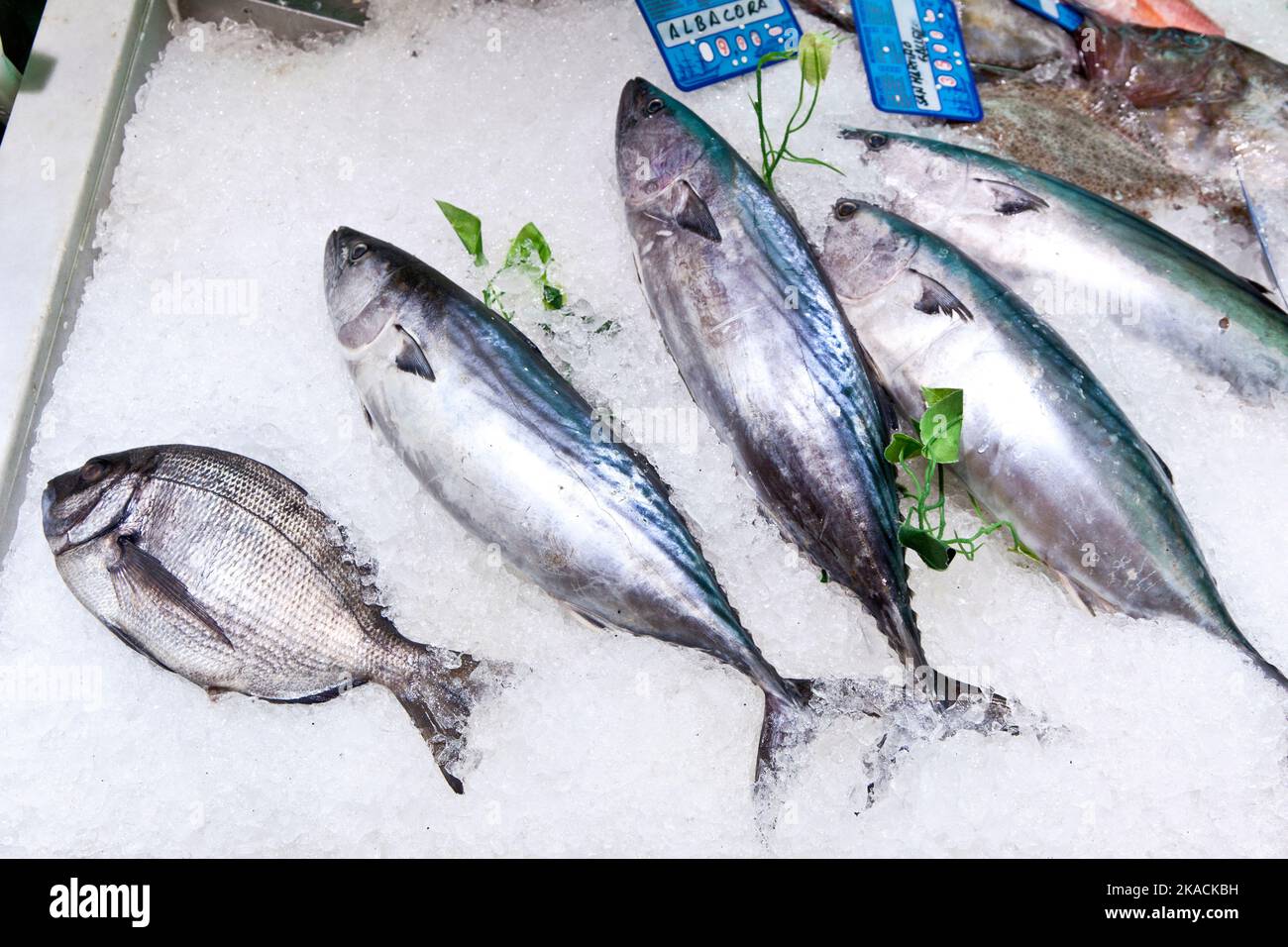 fresh fish on ice for selling at the market in madrid Stock Photo - Alamy