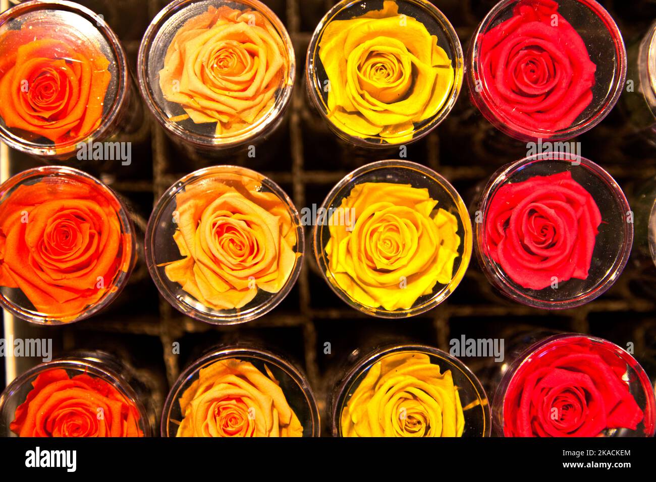fresh roses are sold at the market Stock Photo - Alamy