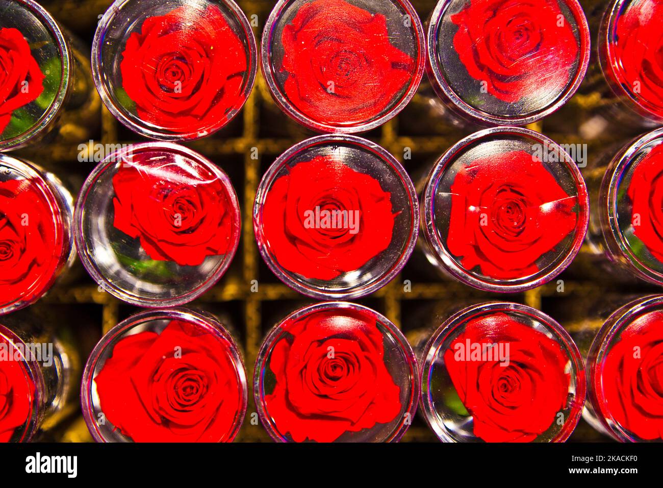 fresh roses are sold at the market Stock Photo - Alamy