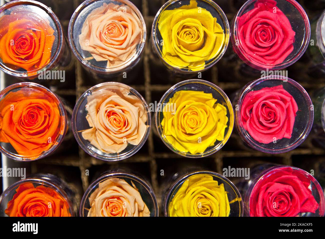 fresh roses are sold at the market Stock Photo - Alamy