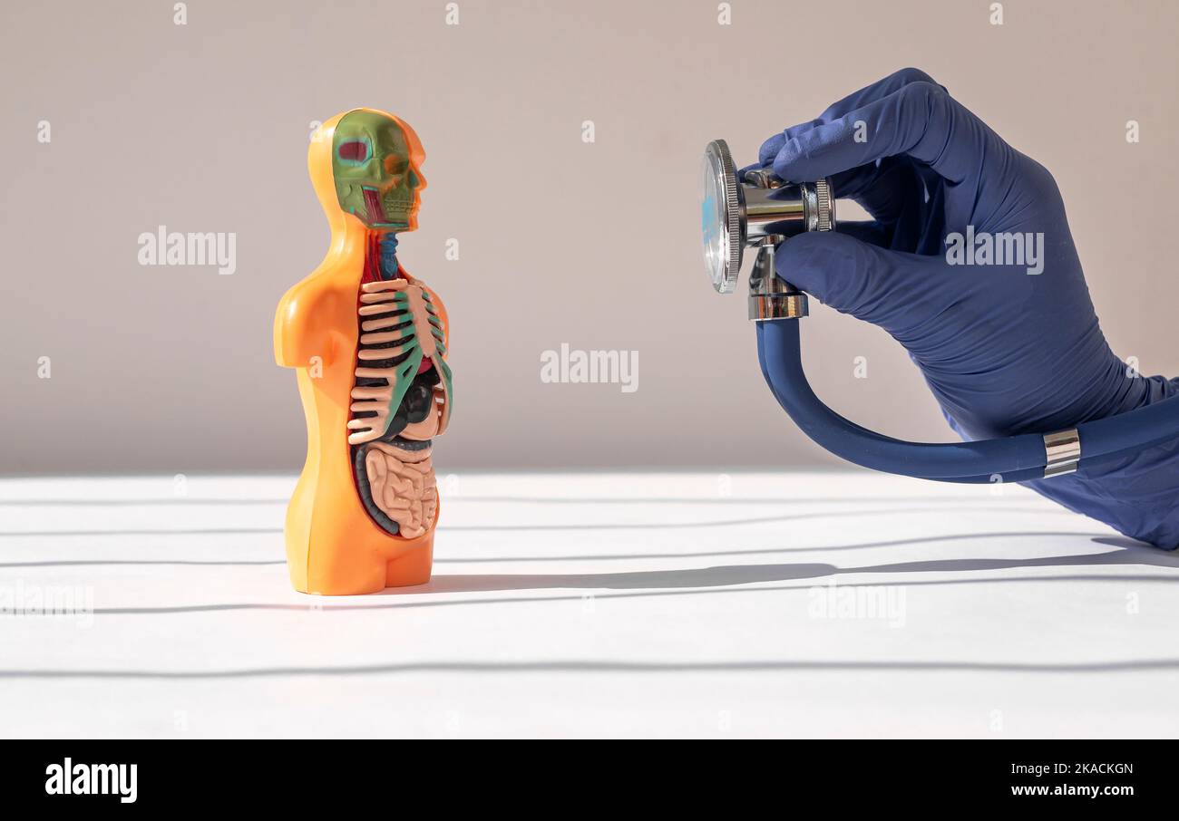 Doctor hand closeup listening with stethoscope skinless human body ...