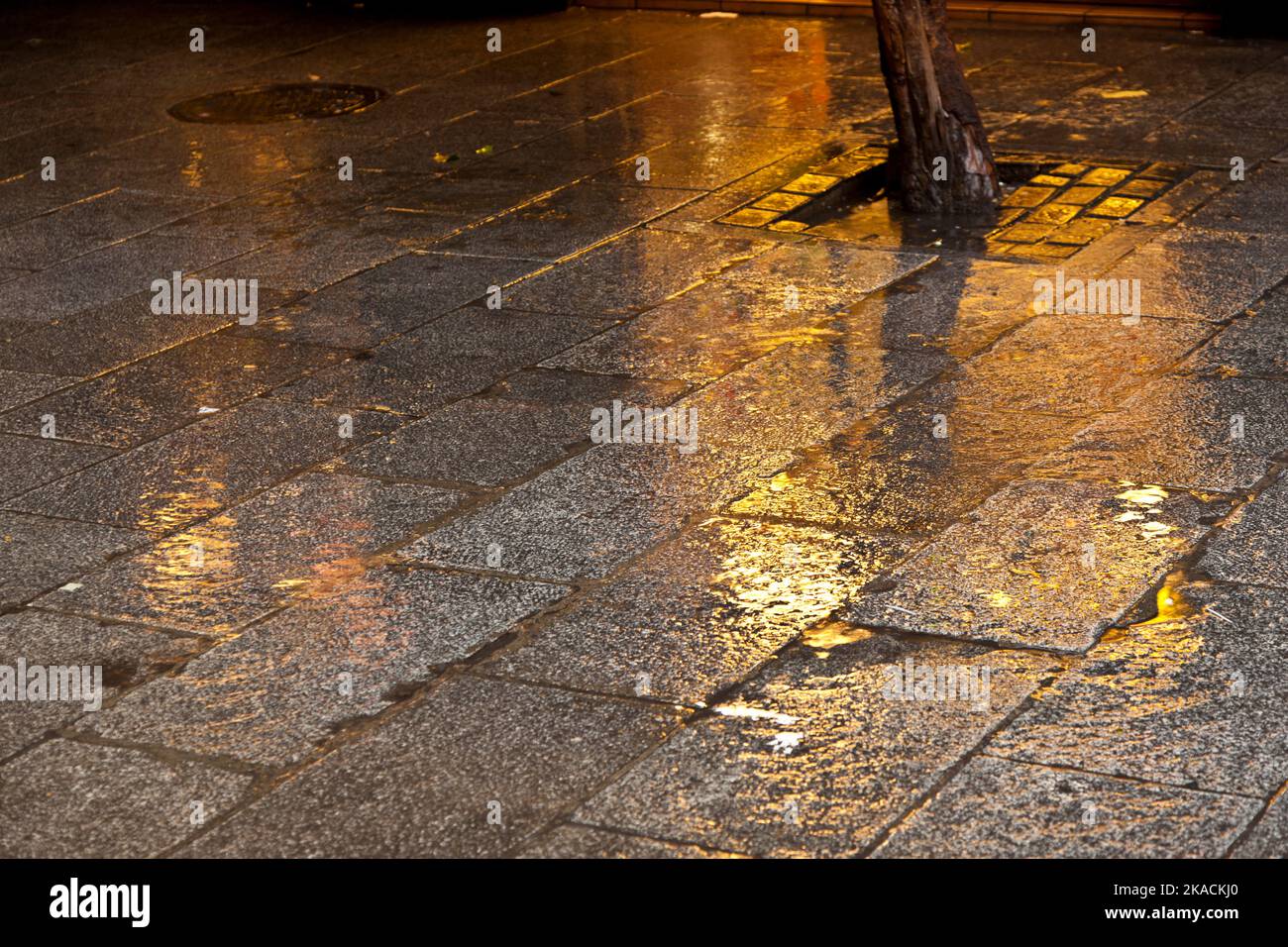 pattern of paveway in rain Stock Photo - Alamy